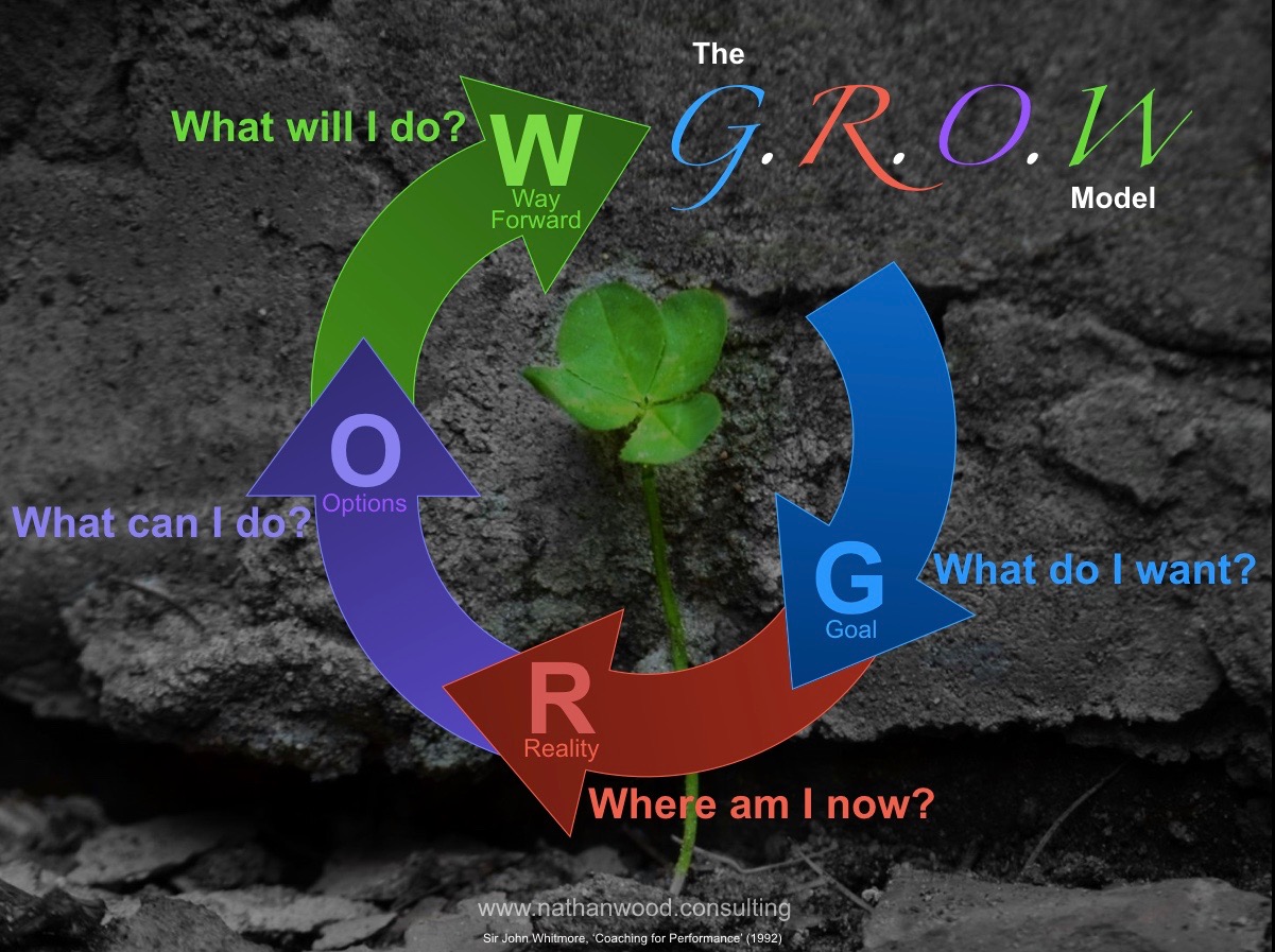 The GROW Model | Nathan Wood Consulting – Nathan Wood Consulting